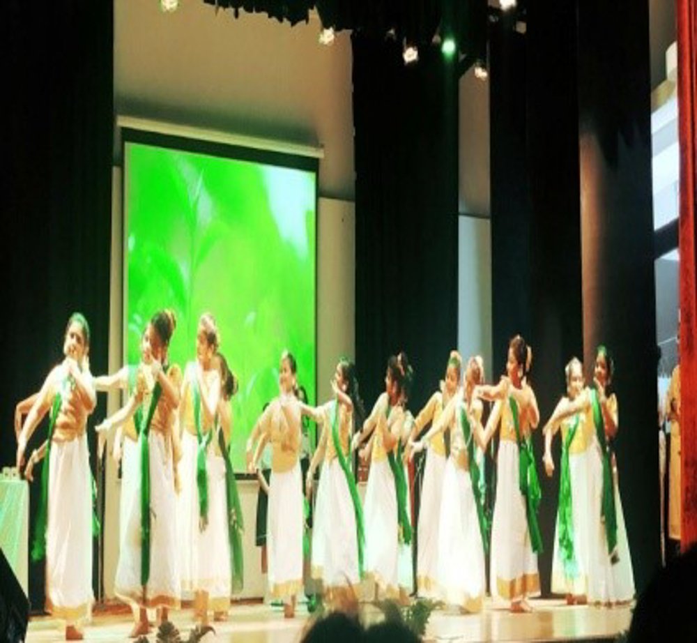 Primary-Programmes – The BSS School